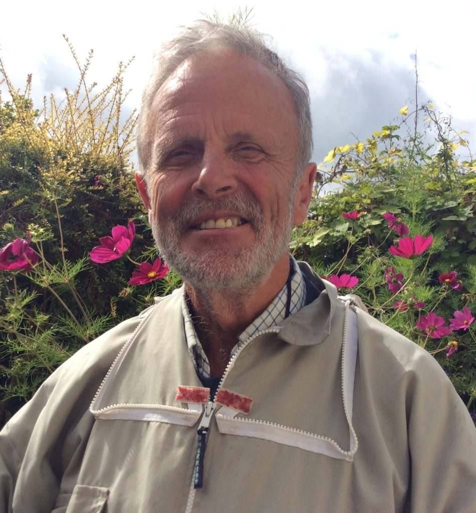 Bees: Moor than Meets the Eye - Powderham Castle 1 & 2 May 2026