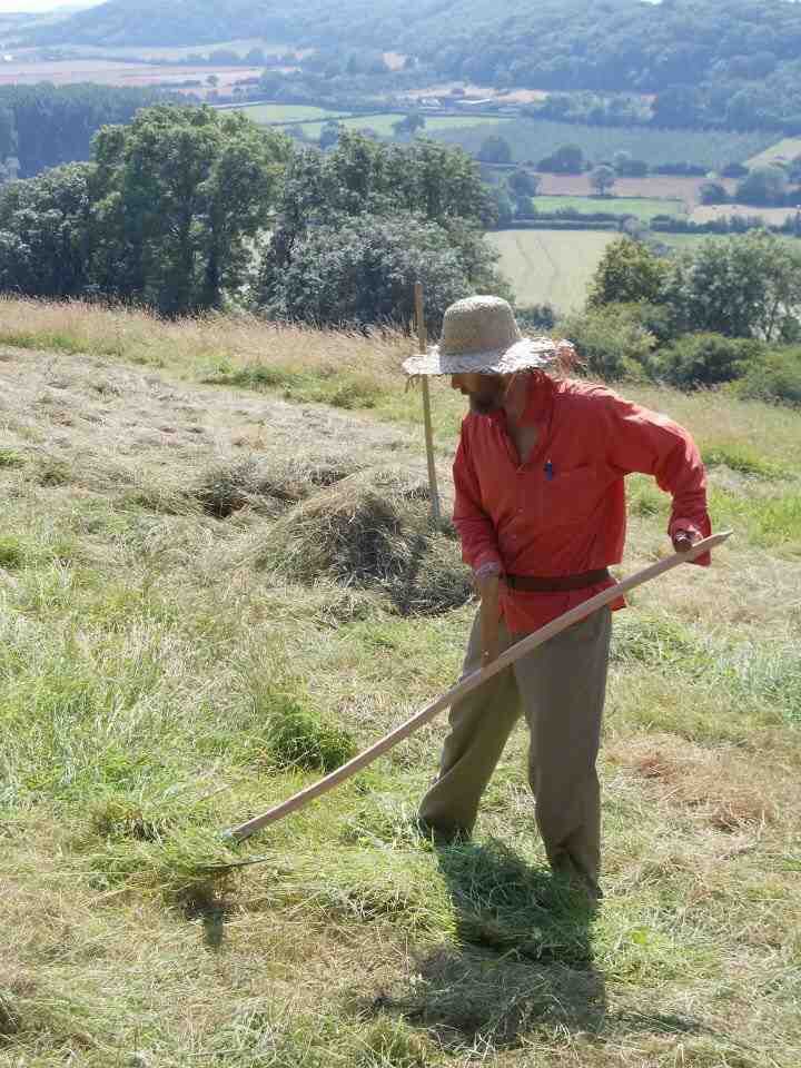 Do it like Poldark: Learn to Scythe at Toby's Garden & Harvest Festival ...