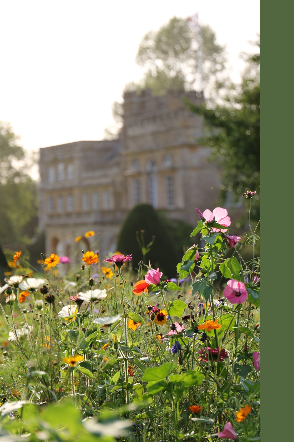 How to Make a Meadow - Powderham Castle 1 & 2 May 2026