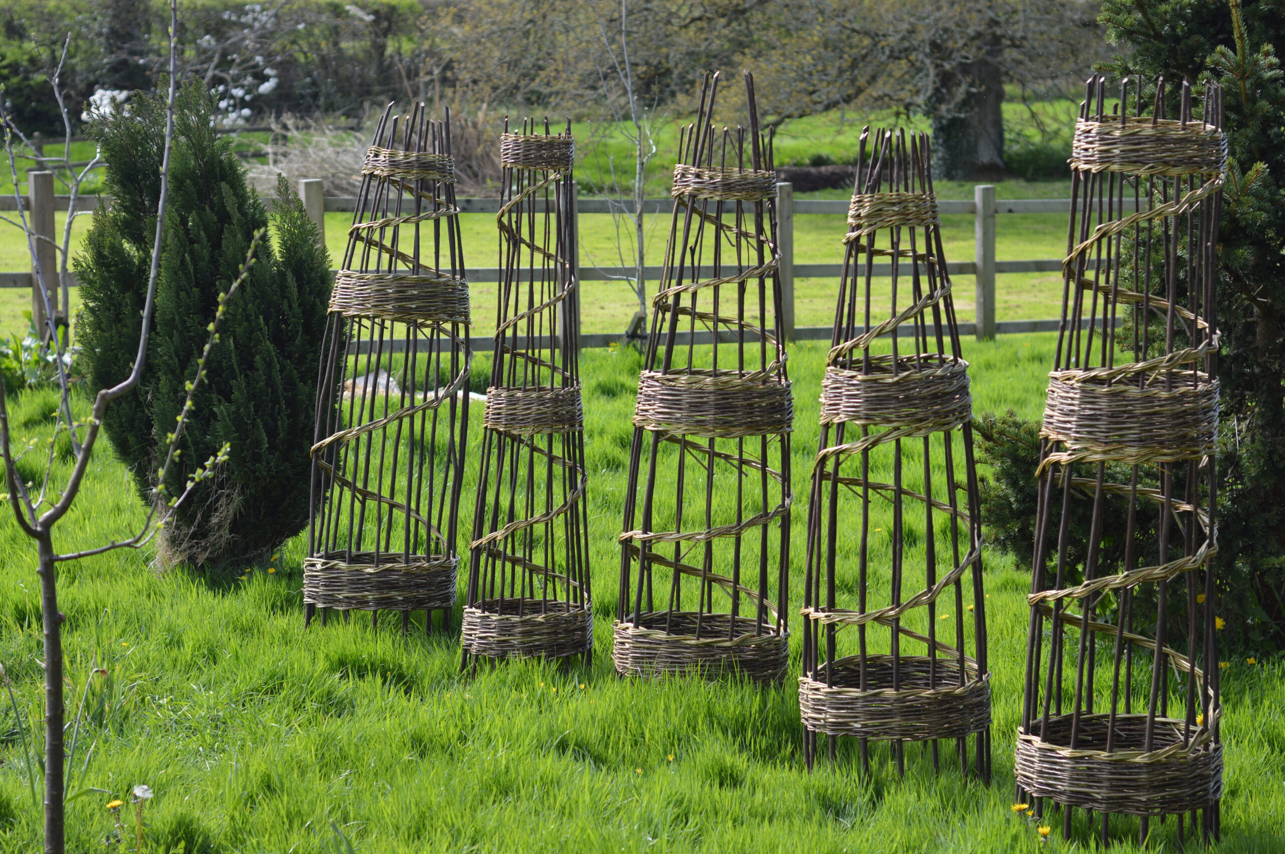 Making a plant support from willow - Powderham Castle 1 & 2 May 2026