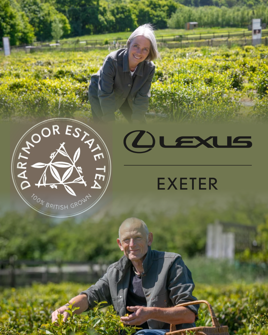 Brewing Up Something Special: Lexus Snows x Dartmoor Estate Tea x Toby ...